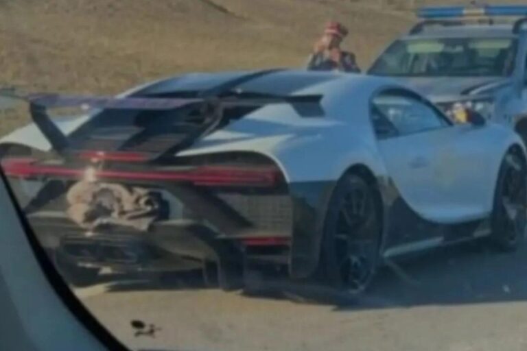Colisão entre 2 Bugatti Chiron pode ser o acidente mais caro; assista o ...